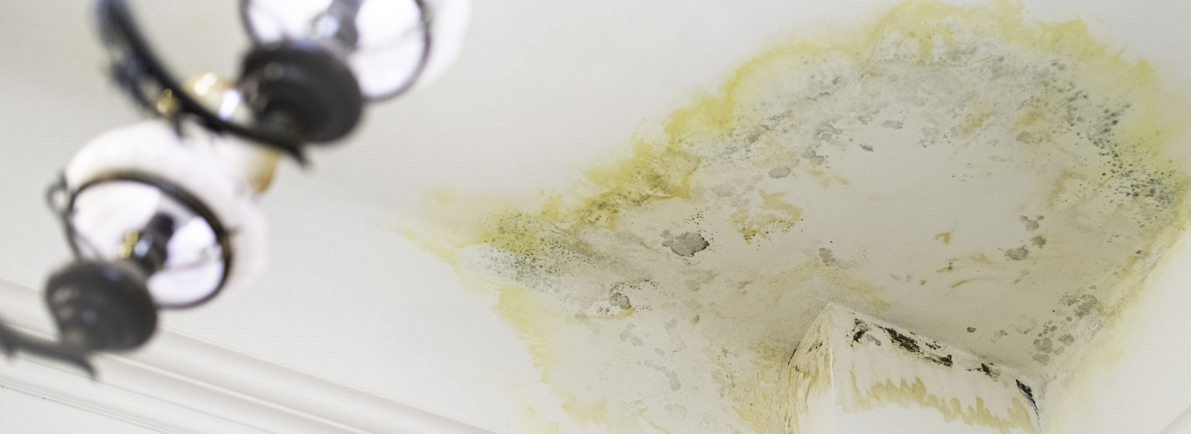 NZ Leaky Home Repair & Exterior Leaky Building Specialists